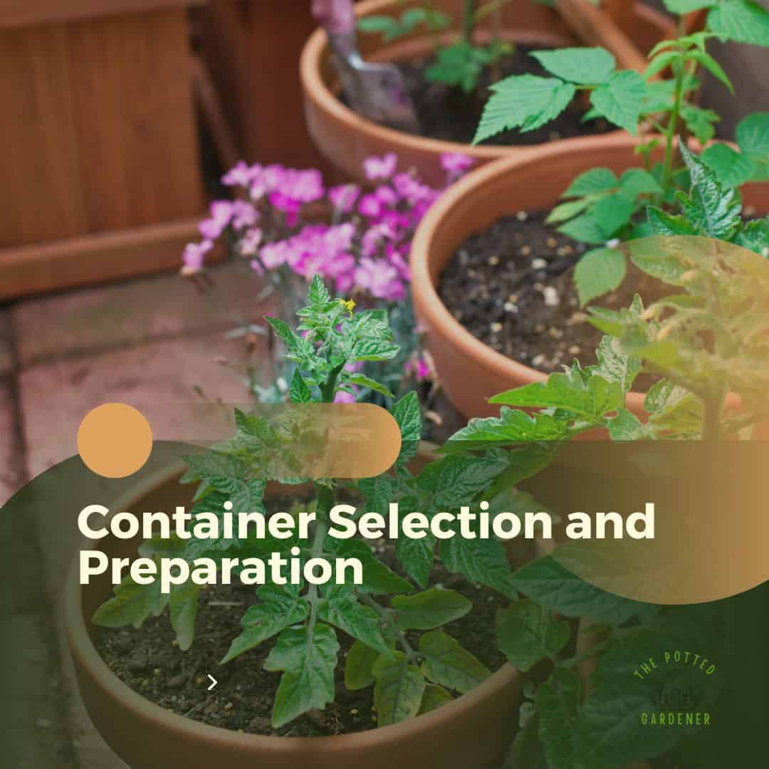 Easy Guide To Companion Planting In Containers - The Potted Gardener