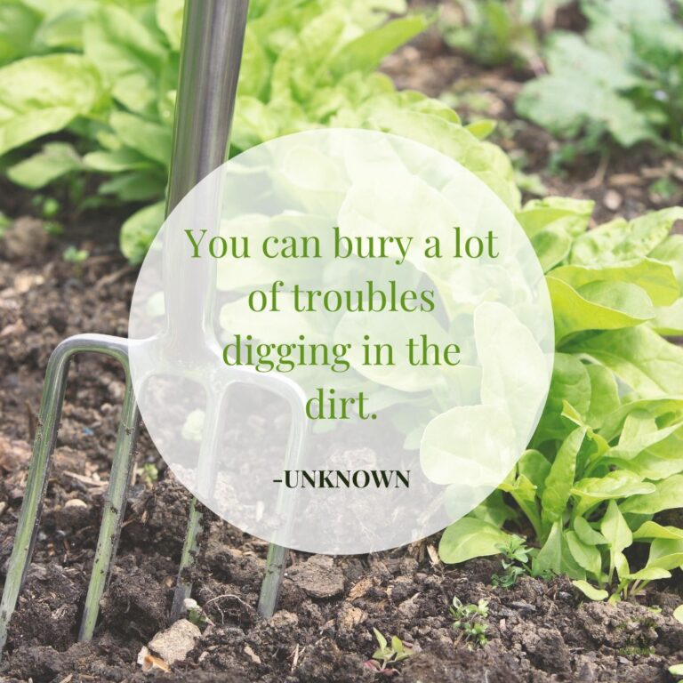 85 Gardening Quotes to Plant Inspiration and Joy - The Potted Gardener