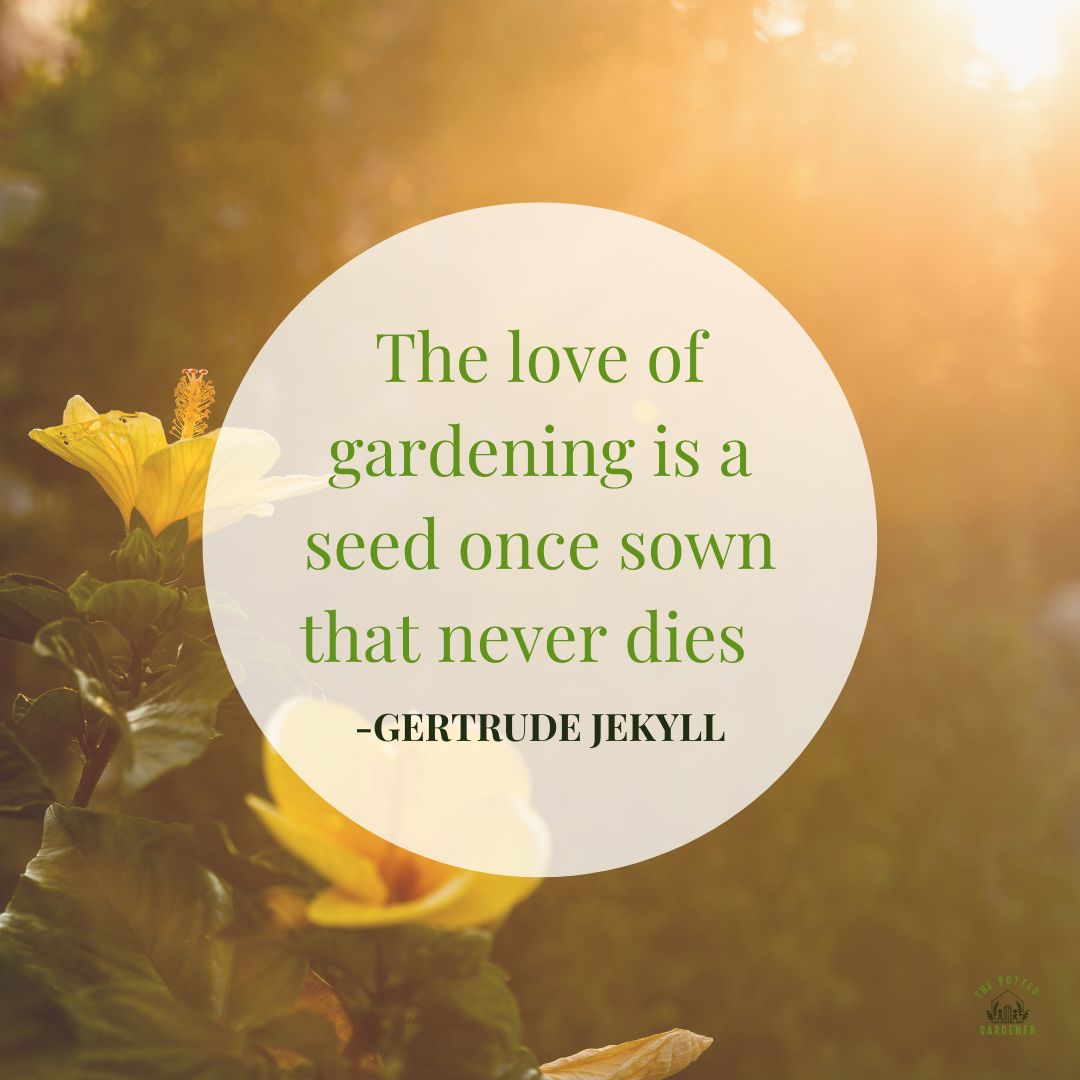 85 Gardening Quotes to Plant Inspiration and Joy - The Potted Gardener