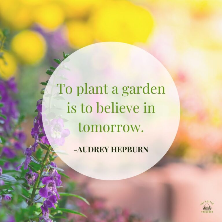 85 Gardening Quotes to Plant Inspiration and Joy - The Potted Gardener