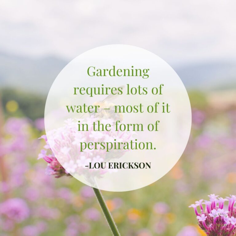 85 Gardening Quotes to Plant Inspiration and Joy - The Potted Gardener