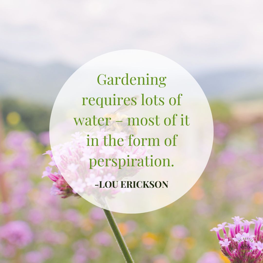 85 Gardening Quotes to Plant Inspiration and Joy - The Potted Gardener