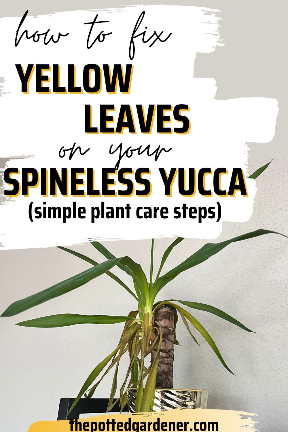 Yucca Plant Dying? How to Spot and Care for Yellow Leaves - The Potted ...